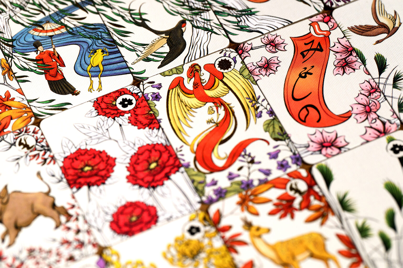 Koi Koi - IELLO Games